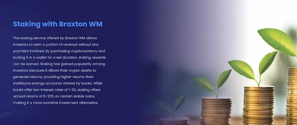 Braxtonwm Review Is Here To Revolutionize Finance - Tech Journal